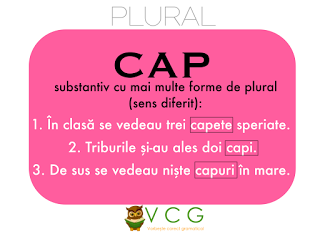 CAP – Vorbește corect gramatical (VCG)
