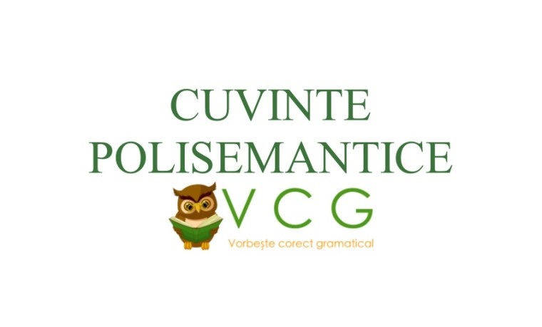 Cuvinte polisemantice – Vorbește corect gramatical (VCG)