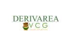 Derivarea – Vorbește corect gramatical (VCG)