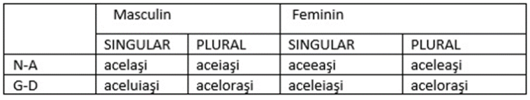 PRONUMELE ȘI ADJECTIVUL PRONOMINAL DEMONSTRATIV – Vorbește corect ...