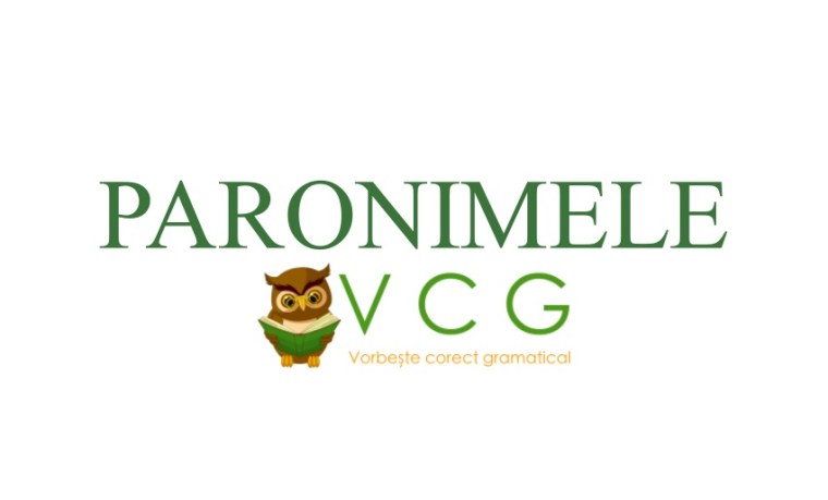 Paronimele – Vorbește corect gramatical (VCG)