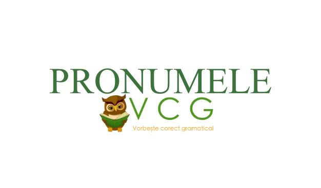 PRONUMELE – DEFINIȚIE – Vorbește corect gramatical (VCG)